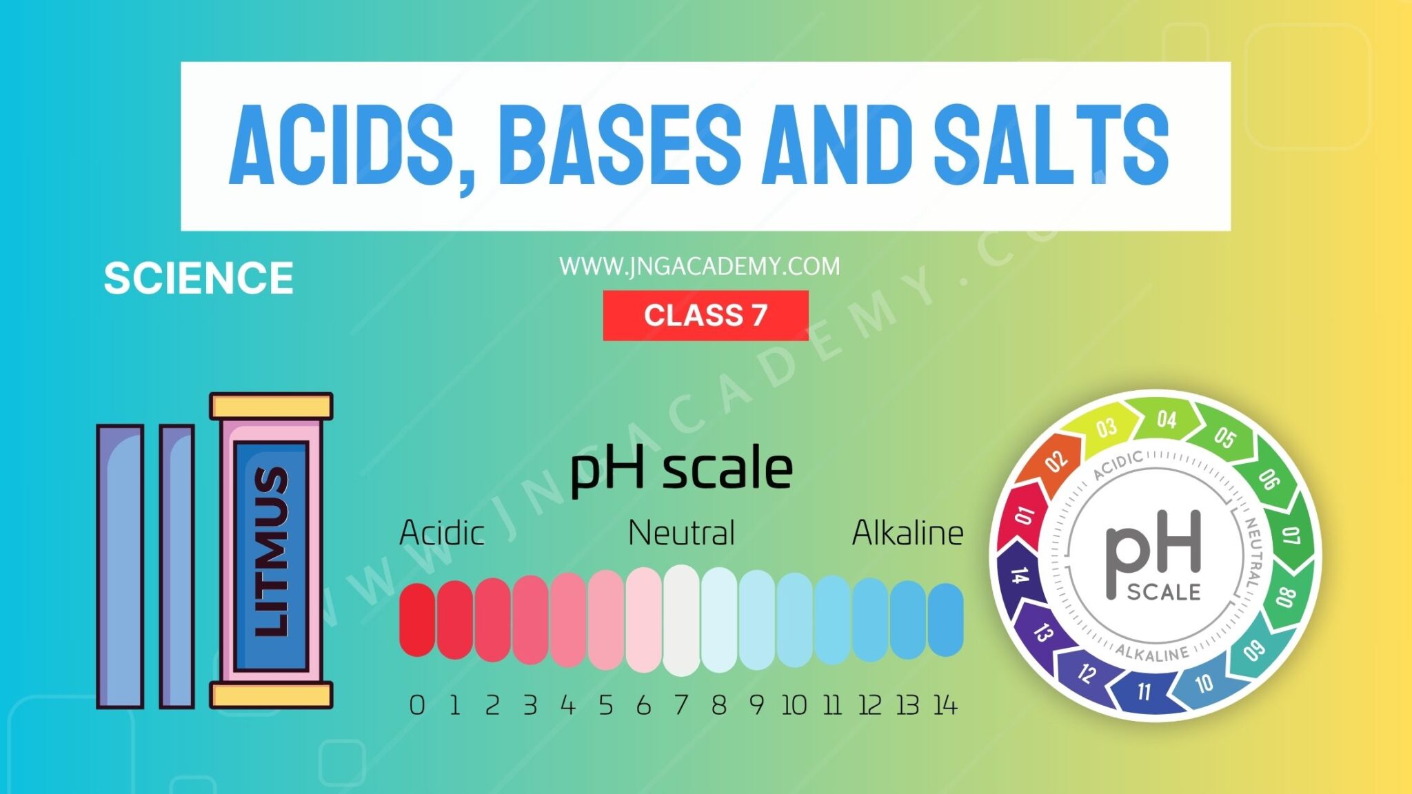Acids, Bases and Salts – Class 7 Science [Full Chapter Notes + Practice ...